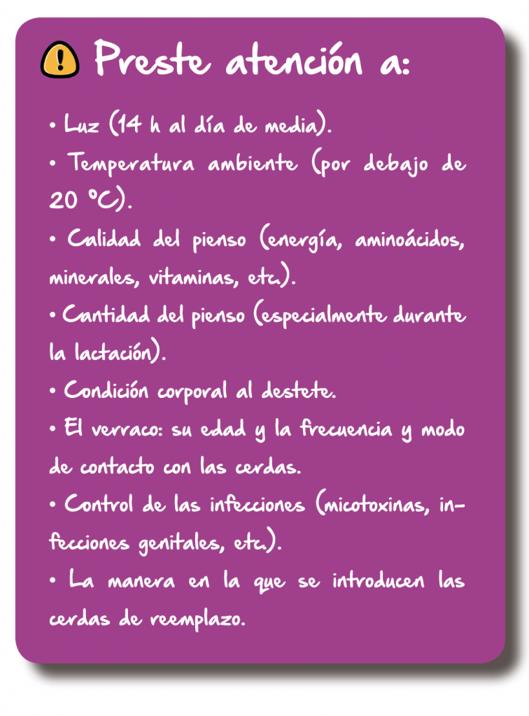 Las claves para un uso correcto del PG 600® – ReproPig